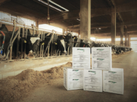 Biosprint – PROSOL