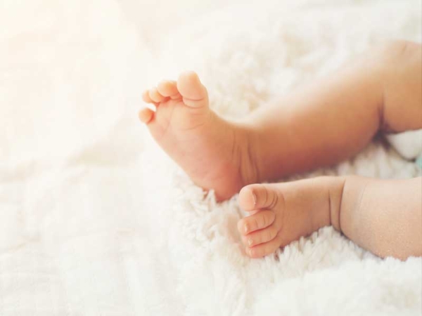 Infant Formula – PROSOL