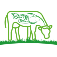 Biosprint – PROSOL