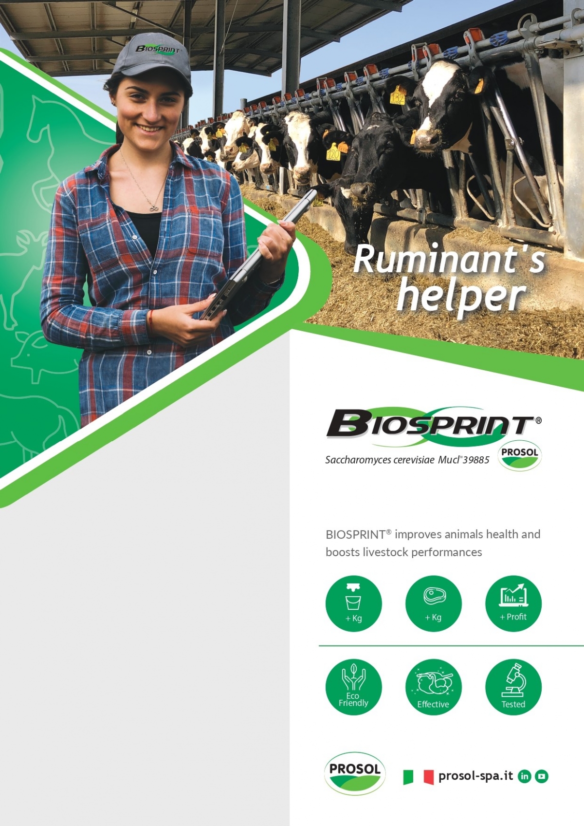 Biosprint® in Ruminants: new Marketing Sheet – PROSOL