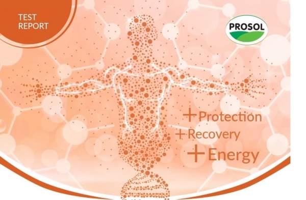 PROSOL – Prosol Spa