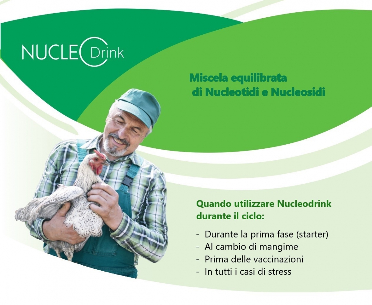 Nucleodrink – PROSOL
