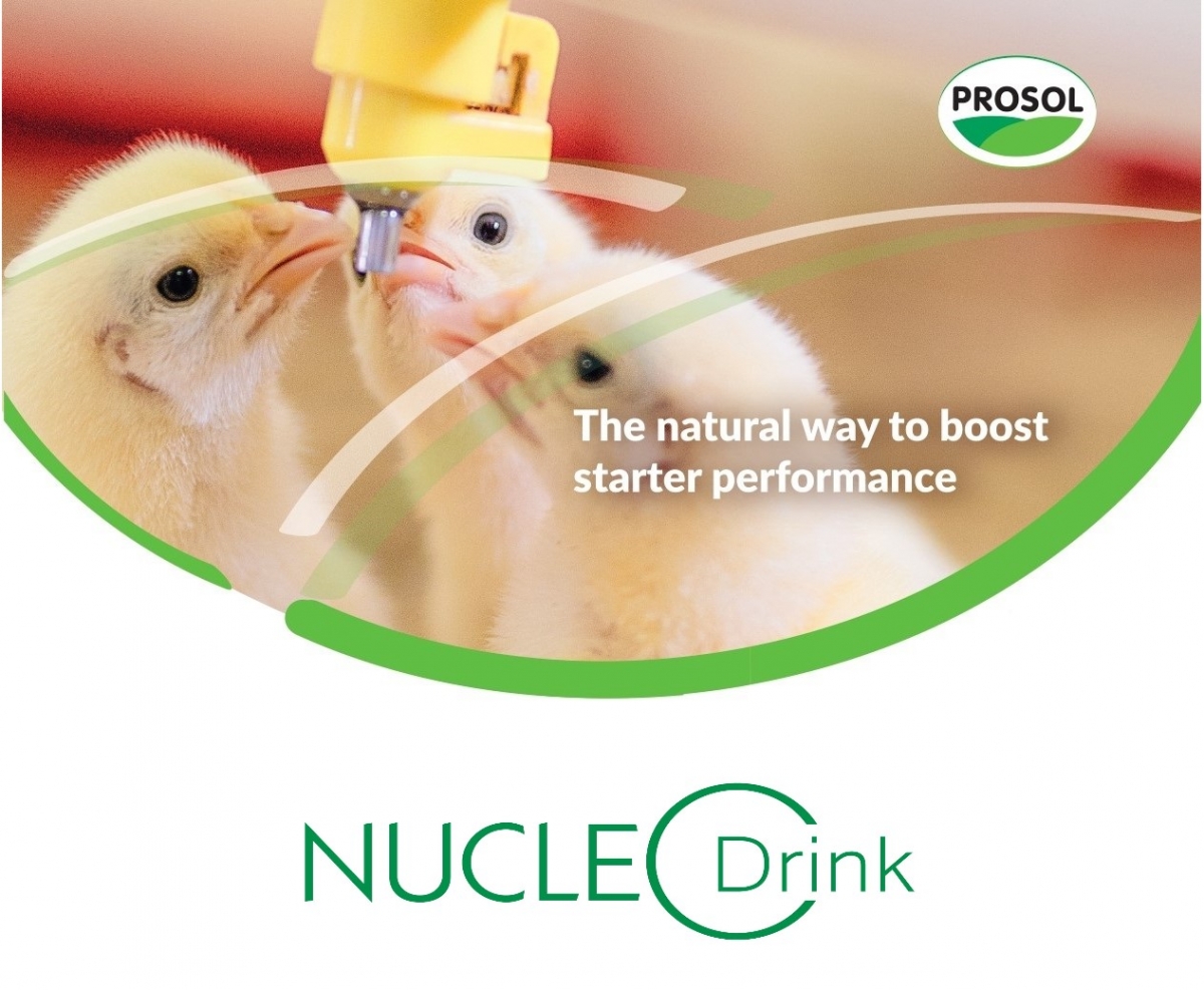 Nucleodrink – PROSOL