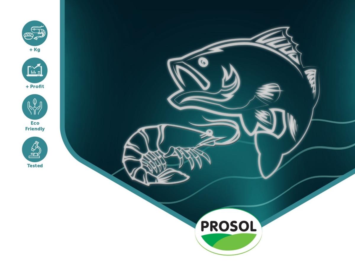 AquaCARE – PROSOL